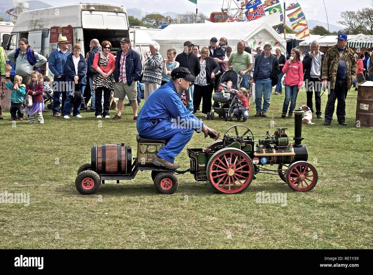 A miniature steam traction engine being driven at the Anglesey Vintage ...
