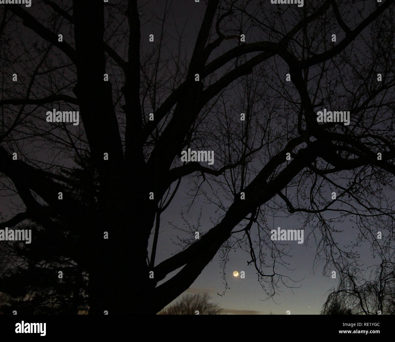 Full Moon and Planet Mercury, Ohio Stock Photo - Alamy