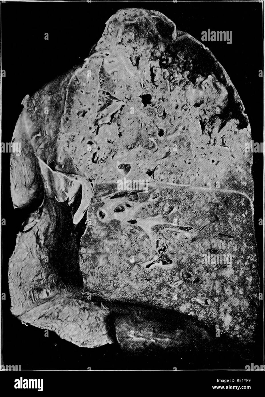 Miliary formation hi-res stock photography and images - Alamy