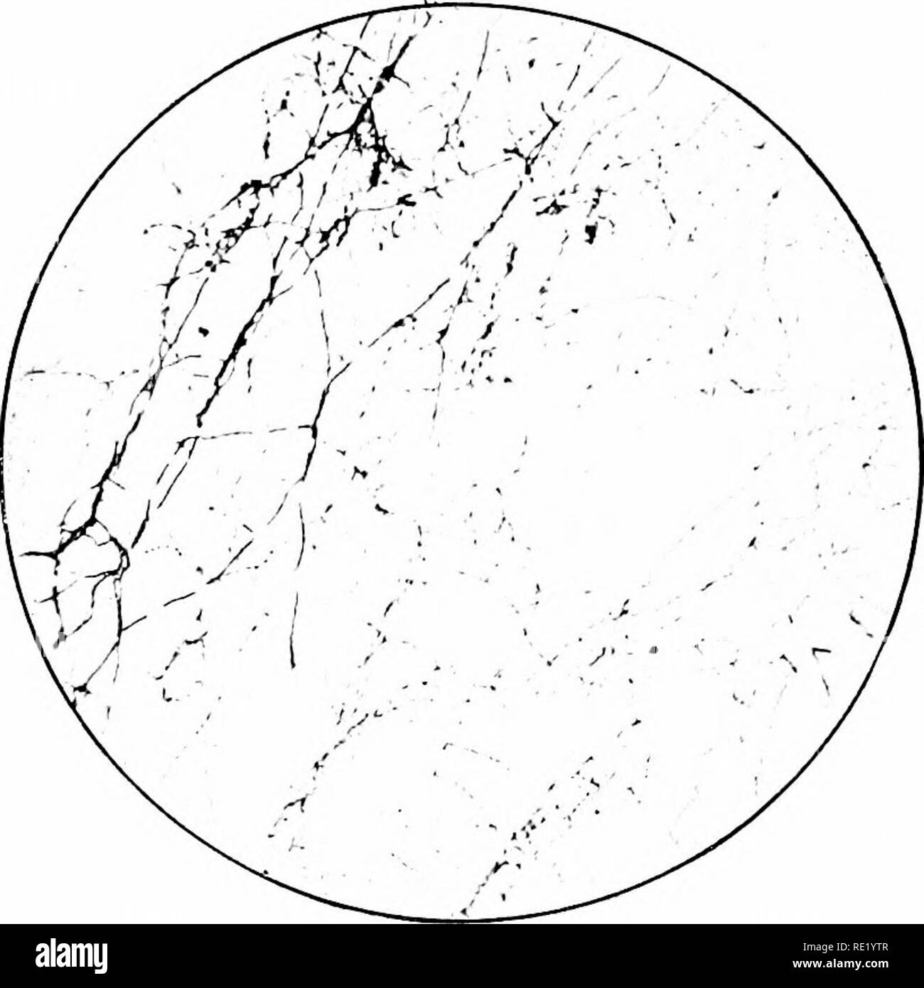 Sugar microscope Black and White Stock Photos & Images - Alamy