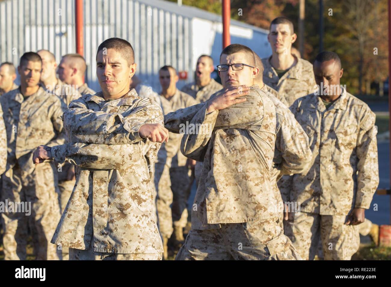 U.S. Marine candidates with Officer Candidate School (OCS) stretch ...
