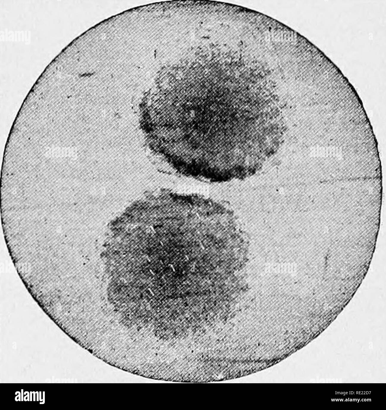 Photomicro Black and White Stock Photos & Images - Alamy