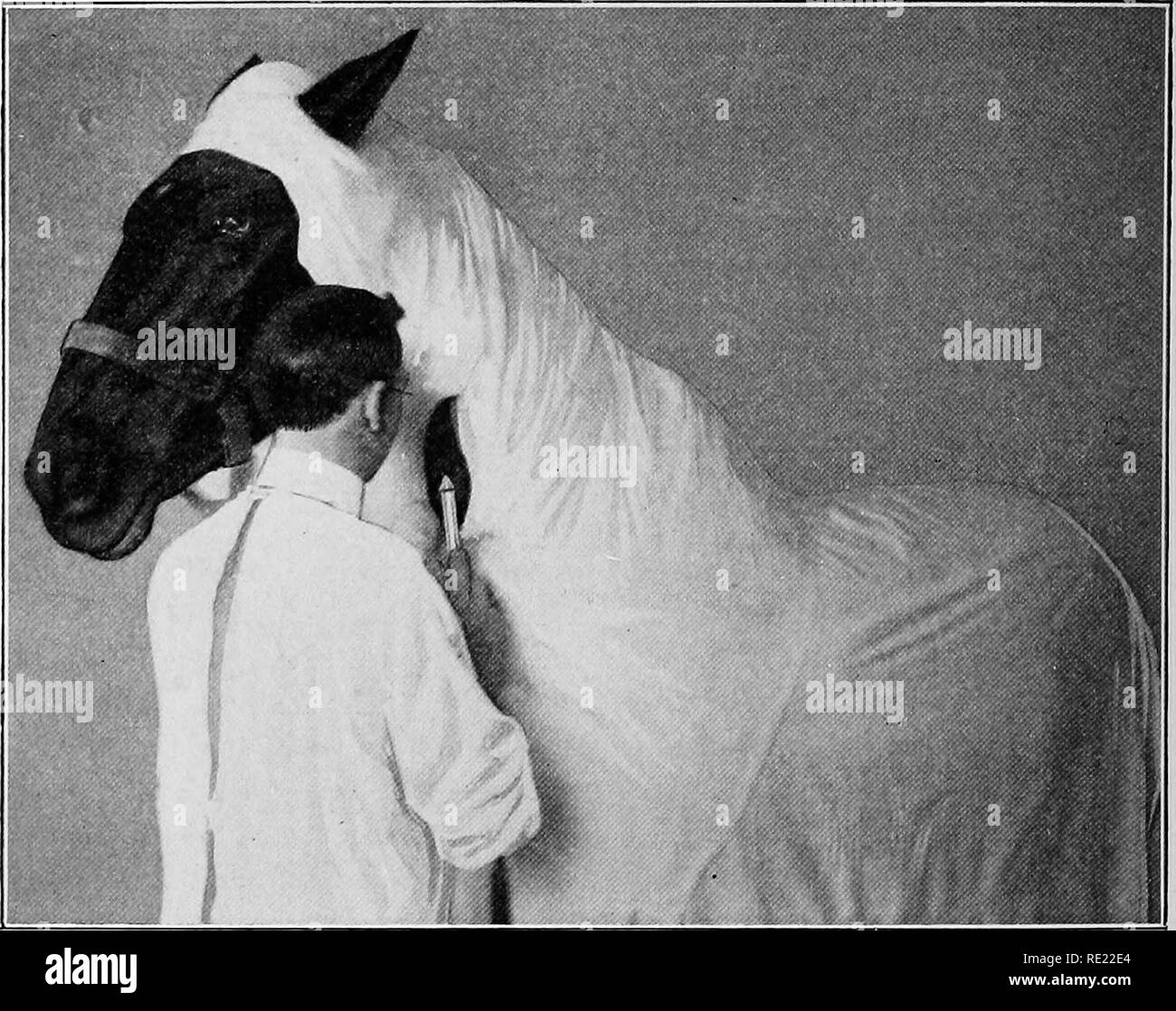 Bleeding from your bottom hi-res stock photography and images - Alamy