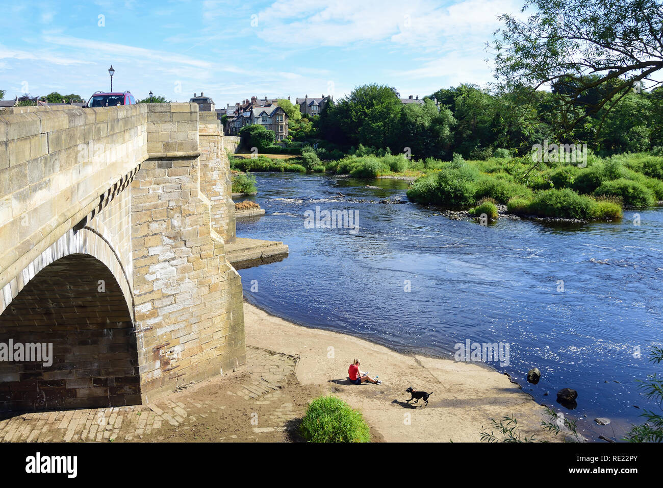 Woman and dog riverside 7th century corbridge stone bridge over hi-res ...