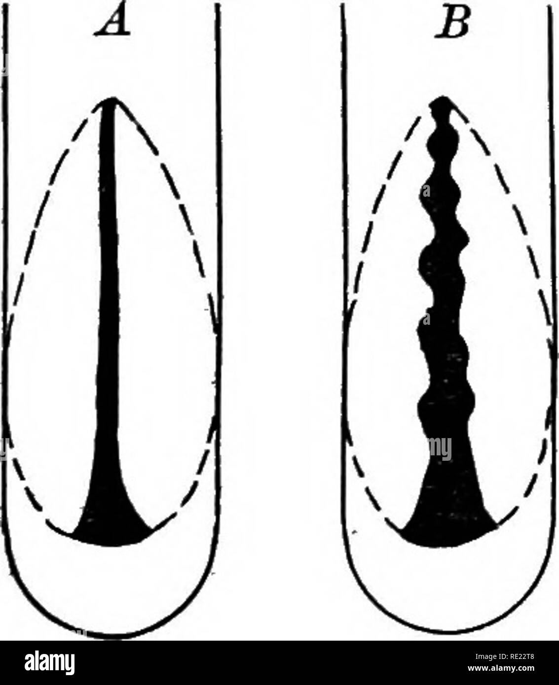 . A manual of bacteriology for agricultural and general science ...
