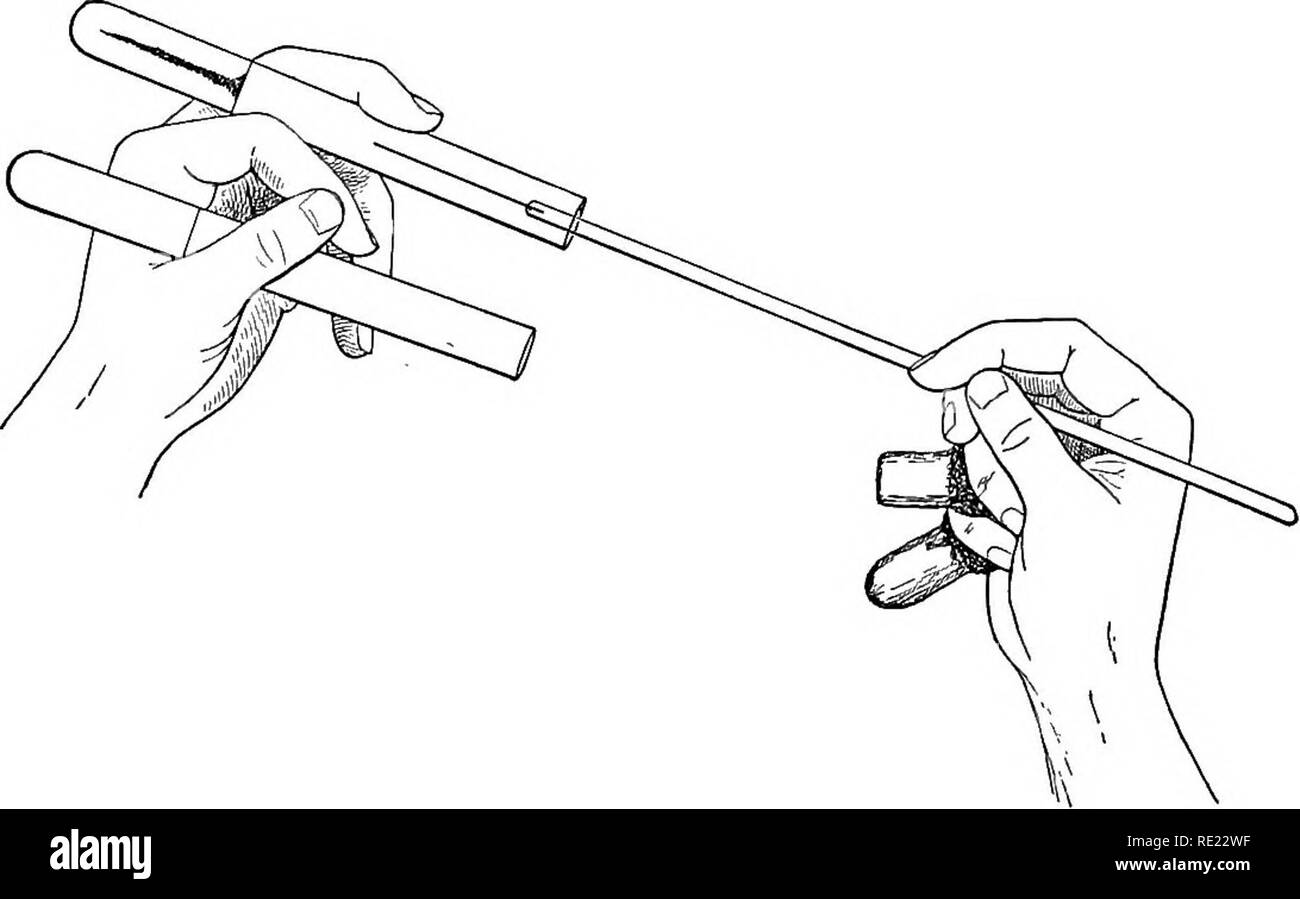 . A manual of bacteriology for agricultural and general science ...