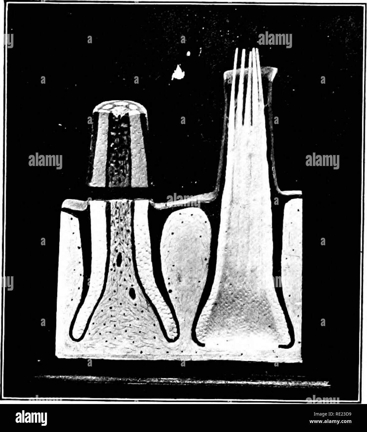 Splitting of fish Black and White Stock Photos & Images - Alamy