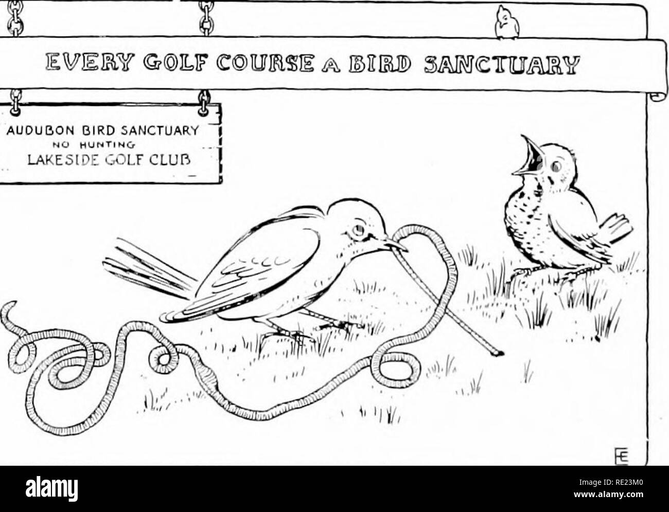 . Golf clubs as bird sanctuaries. Birds; Golf courses. a few Audubon ...