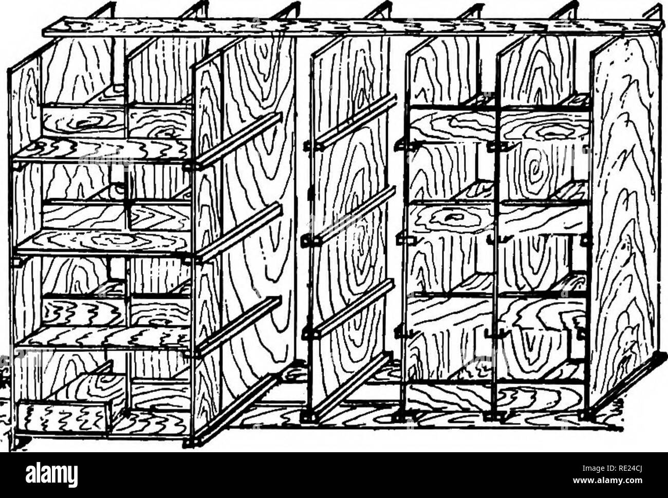 . American squab culture; a practical work on squab culture covering ...