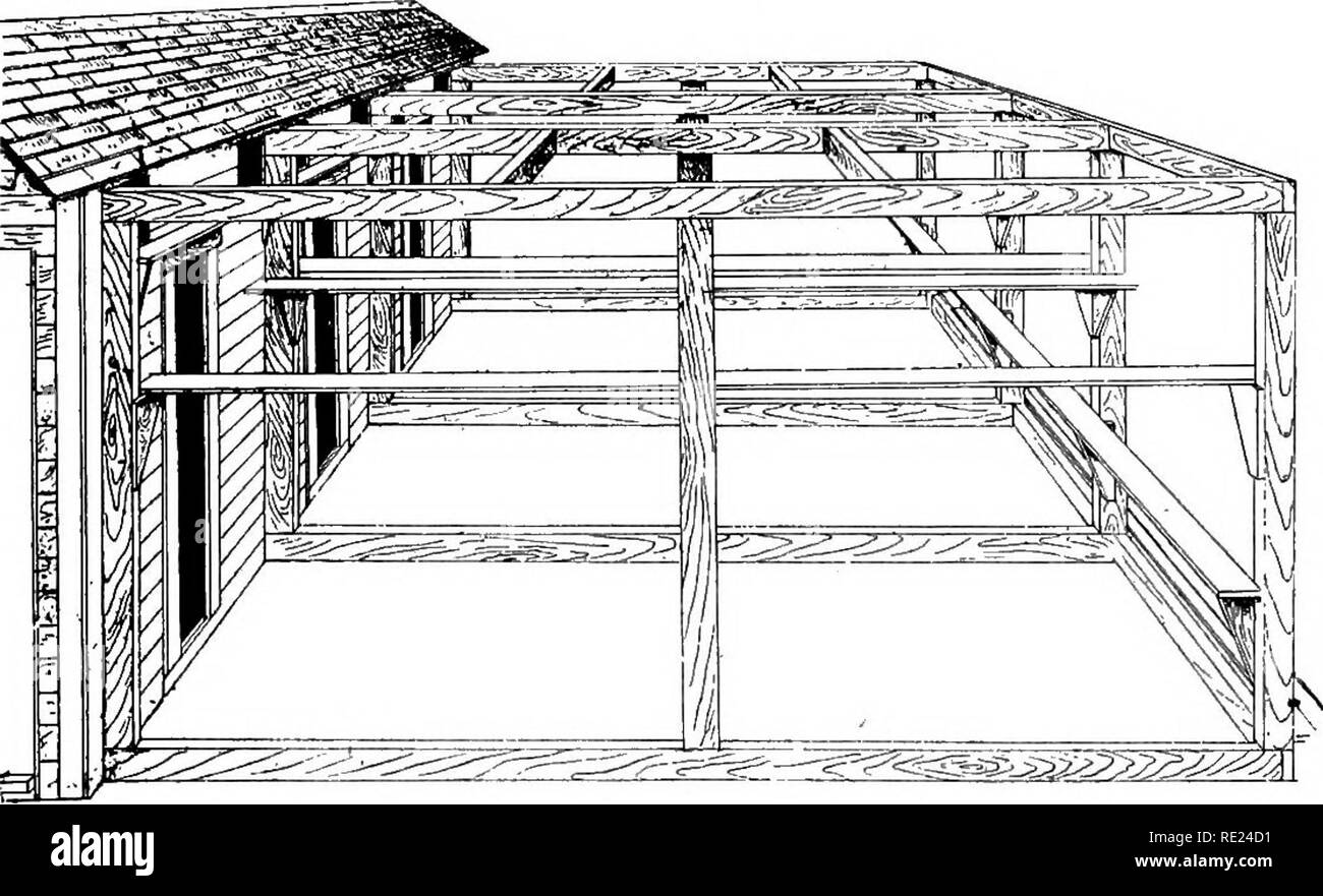 . American squab culture; a practical work on squab culture covering ...