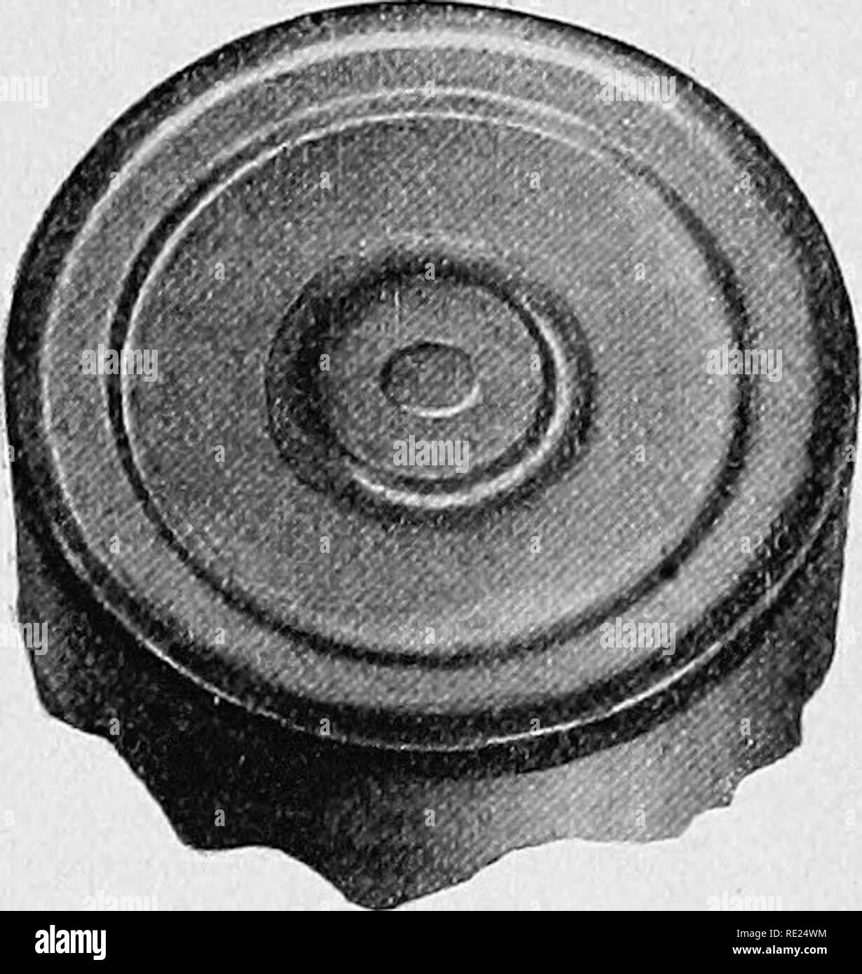 . Condensed milk and milk powder : prepared for the use of milk ...