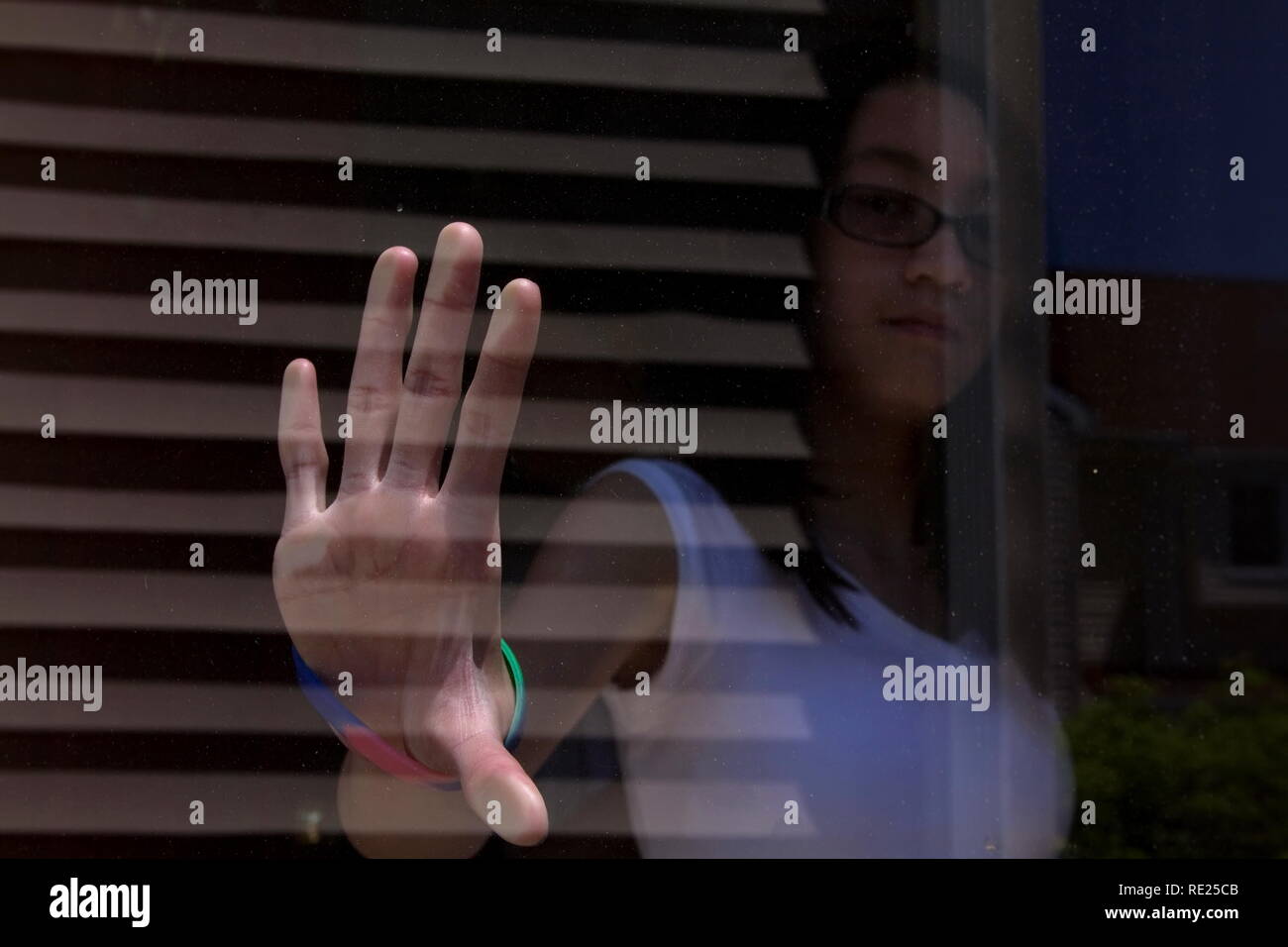 Keeping dust, pollen, and other pollutants to a minimum in the home ...