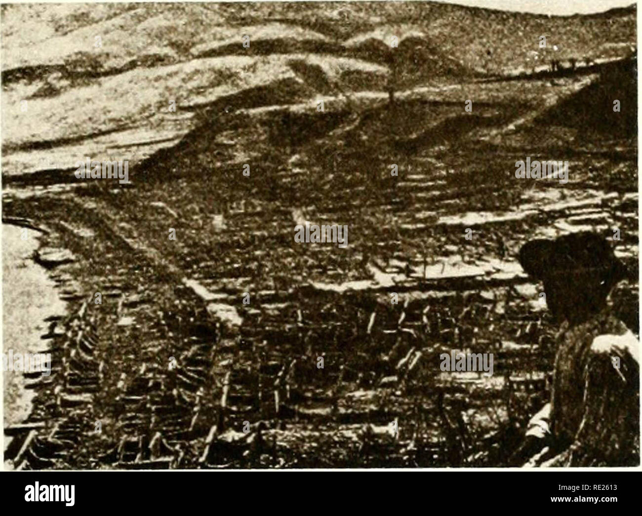 "Stokes records; notes regarding the ancestry and lives of Anson Phelps ...