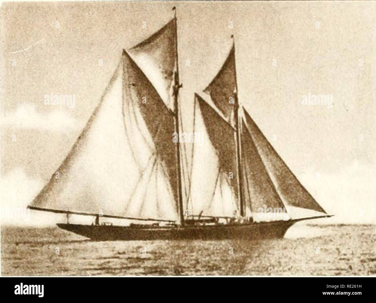 "Stokes records; notes regarding the ancestry and lives of Anson Phelps ...