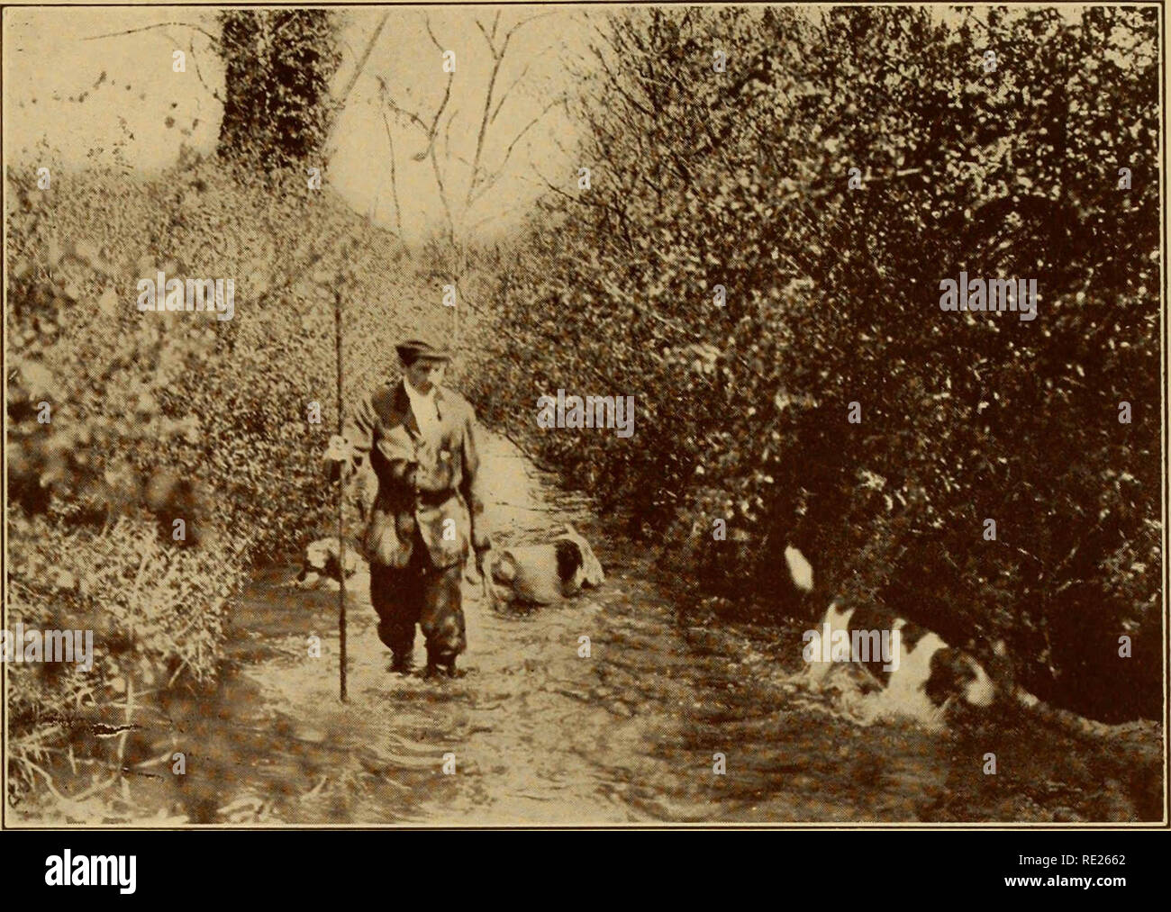 "The hunting field with horse and hound in America, the British Isles ...