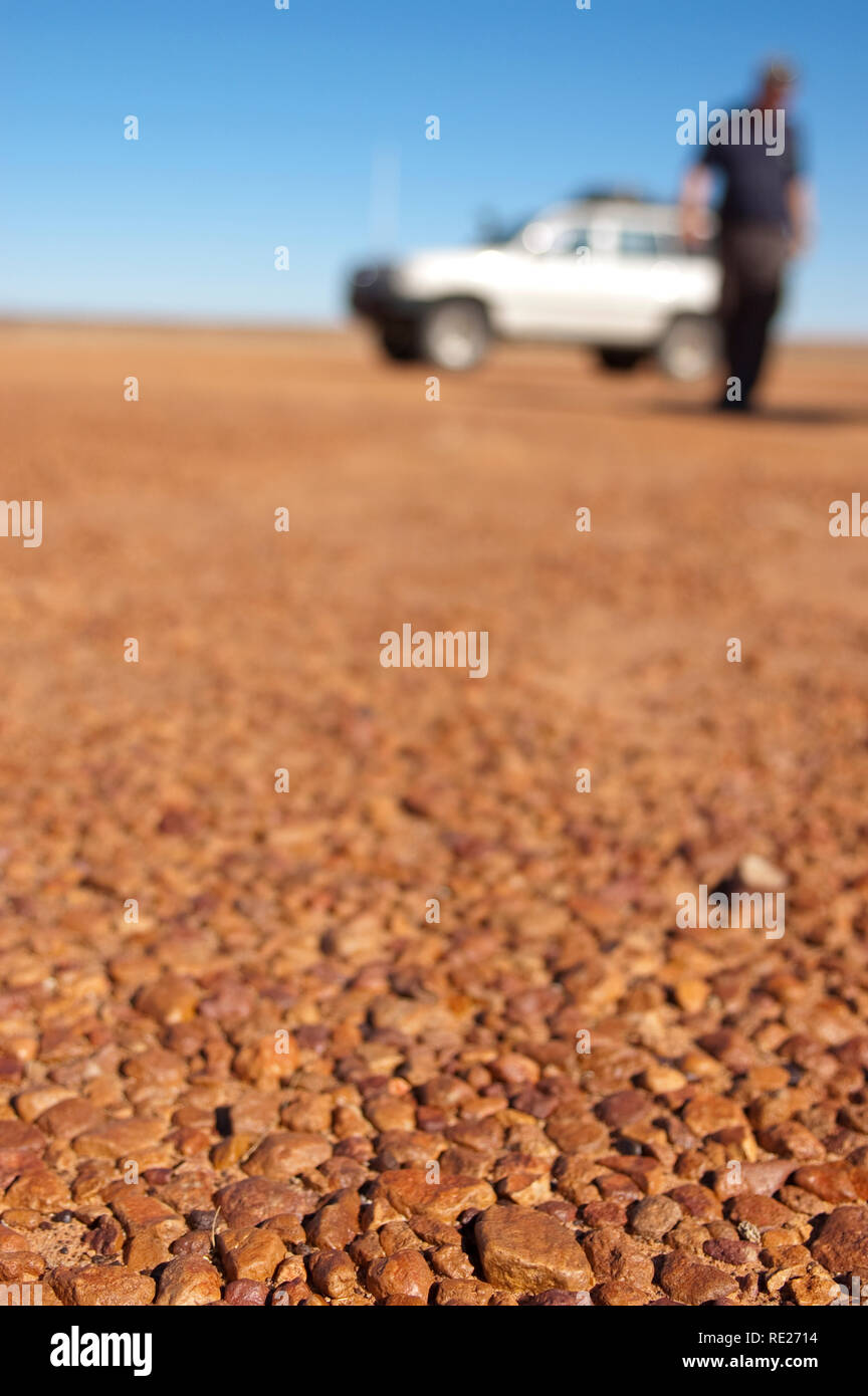 Stony floor of a gibber stone desert, Queensland, Australia Stock Photo ...