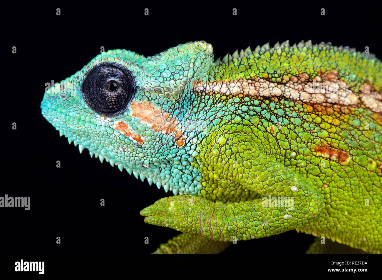 Mount hanang hi-res stock photography and images - Alamy