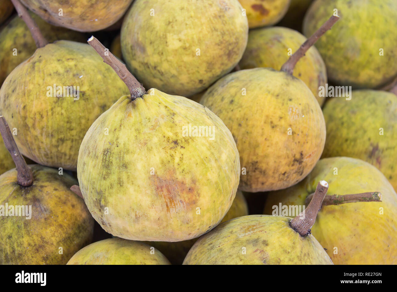 Sentul hi-res stock photography and images - Alamy