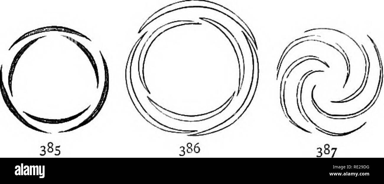 Convolute petals hi-res stock photography and images - Alamy