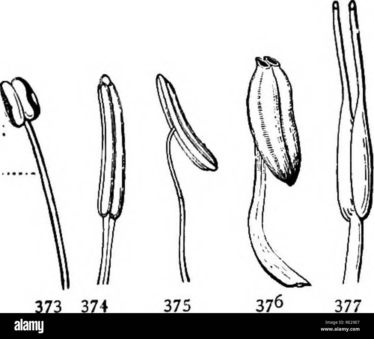 . Botany all the year round; a practical text-book for schools. Botany ...