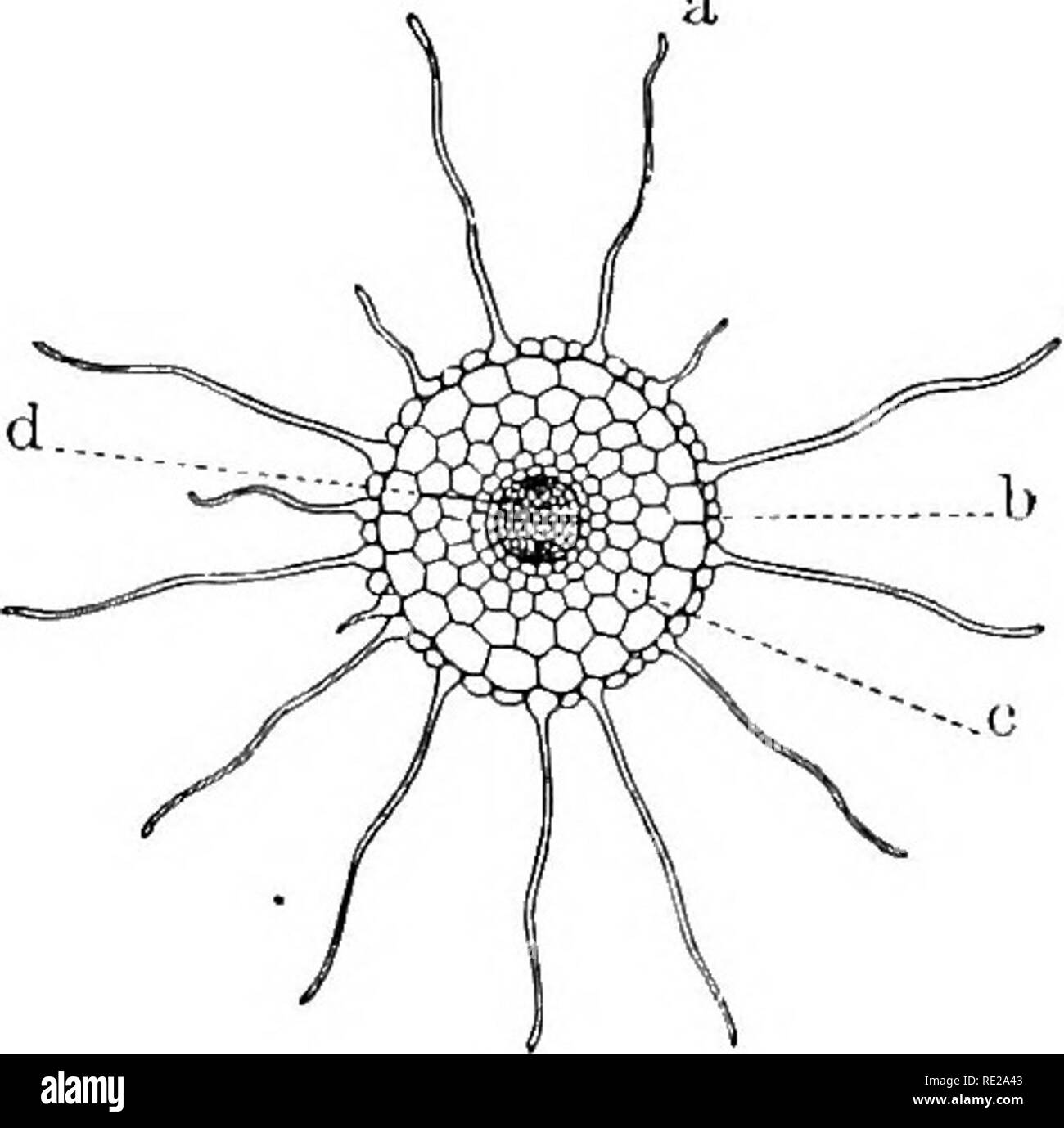 Axis of continuation hi-res stock photography and images - Alamy