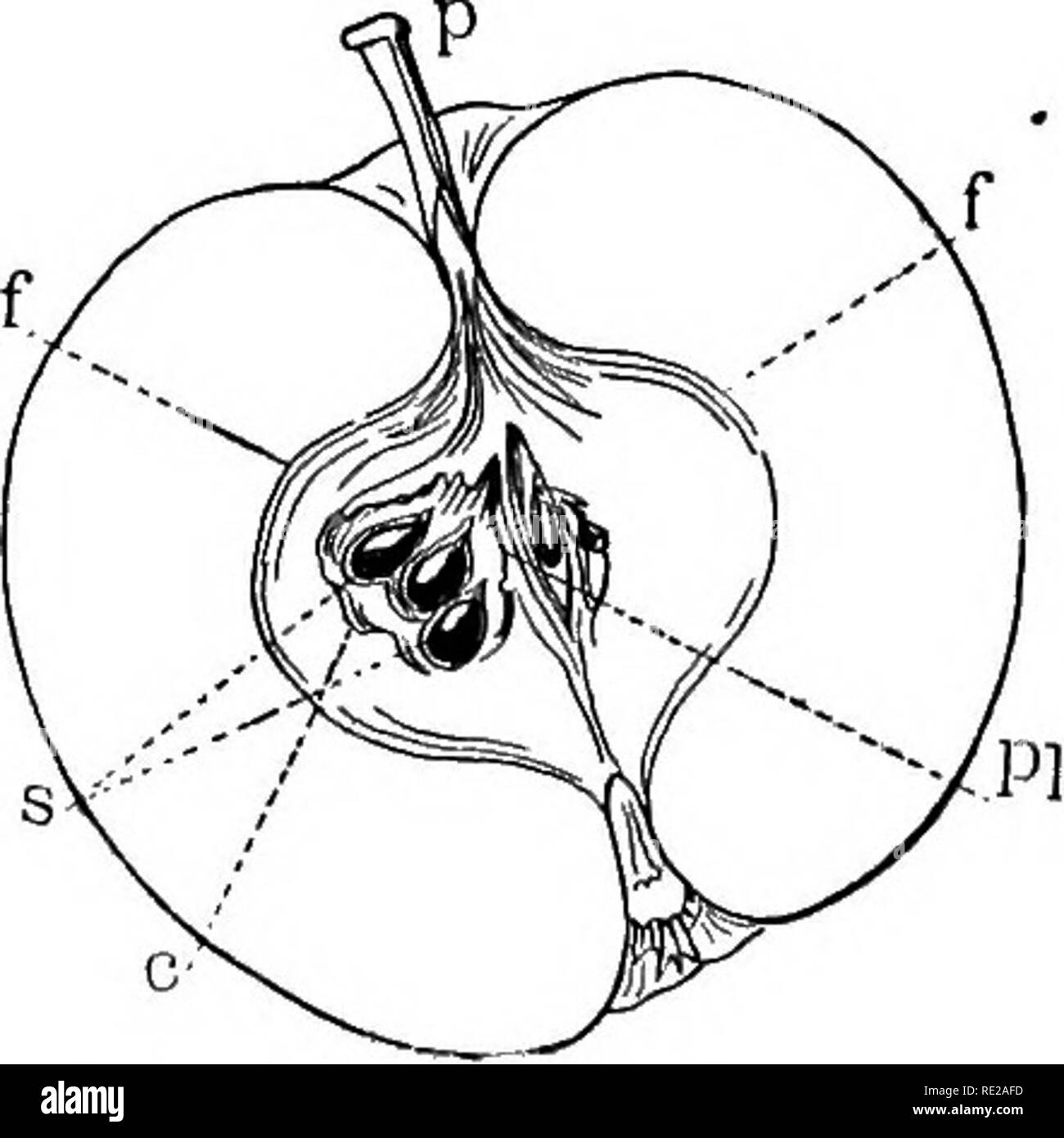 Book cut out end Black and White Stock Photos & Images - Alamy