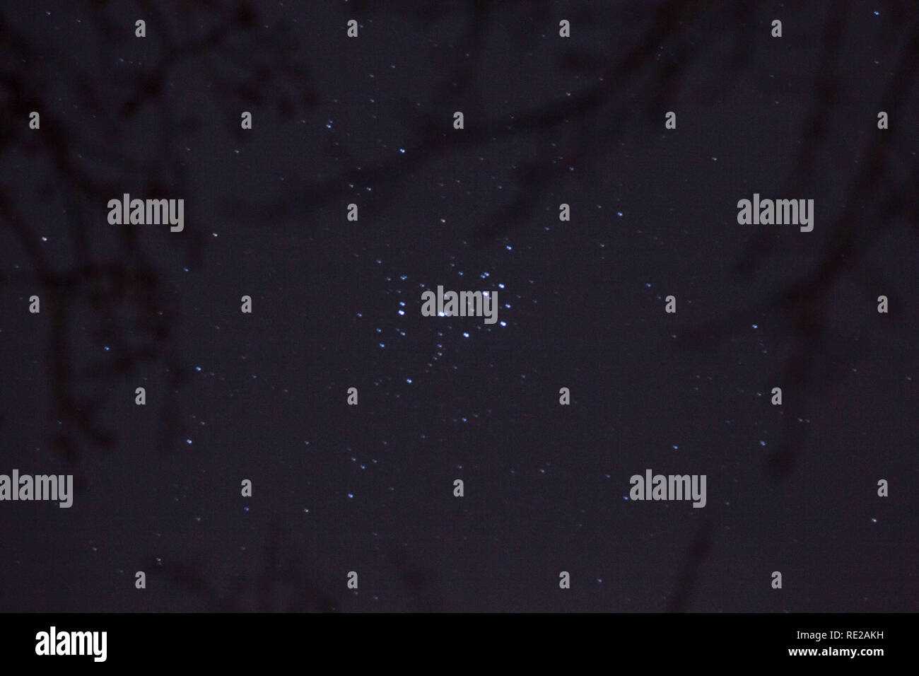 The pleiades star cluster hi-res stock photography and images - Alamy