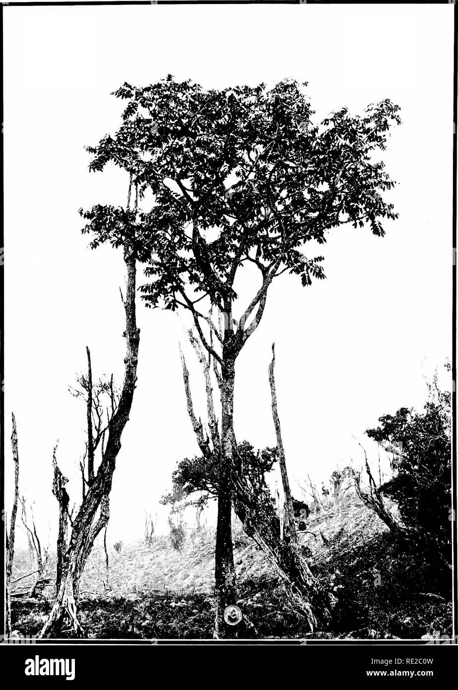 Elevation of 4500 feet Black and White Stock Photos & Images - Alamy