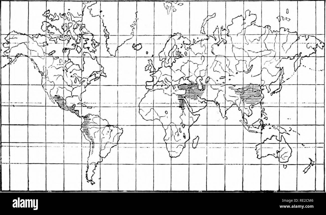 . Plants and their uses; an introduction to botany. Botany; Botany ...