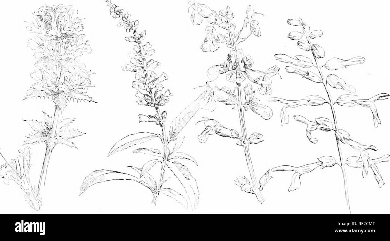 10 lari hi-res stock photography and images - Alamy