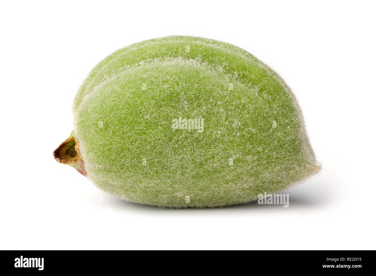 Green almond isolated on white background Stock Photo - Alamy