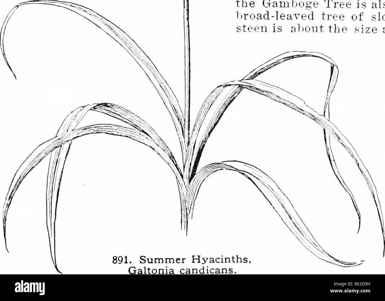 Alternate suggestions Black and White Stock Photos & Images - Alamy