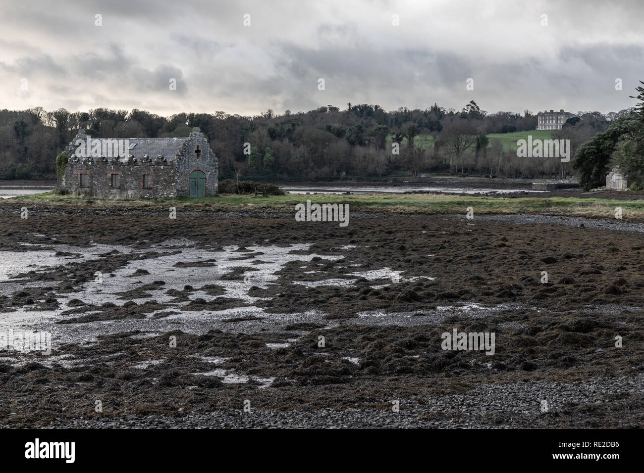 Castle Ward and Strangford lough, Northern Ireland, UK Stock Photo - Alamy