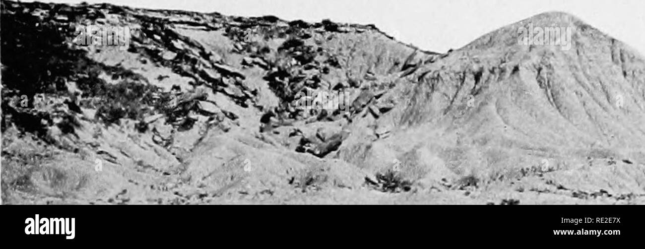 Frederic edward clements hi-res stock photography and images - Alamy