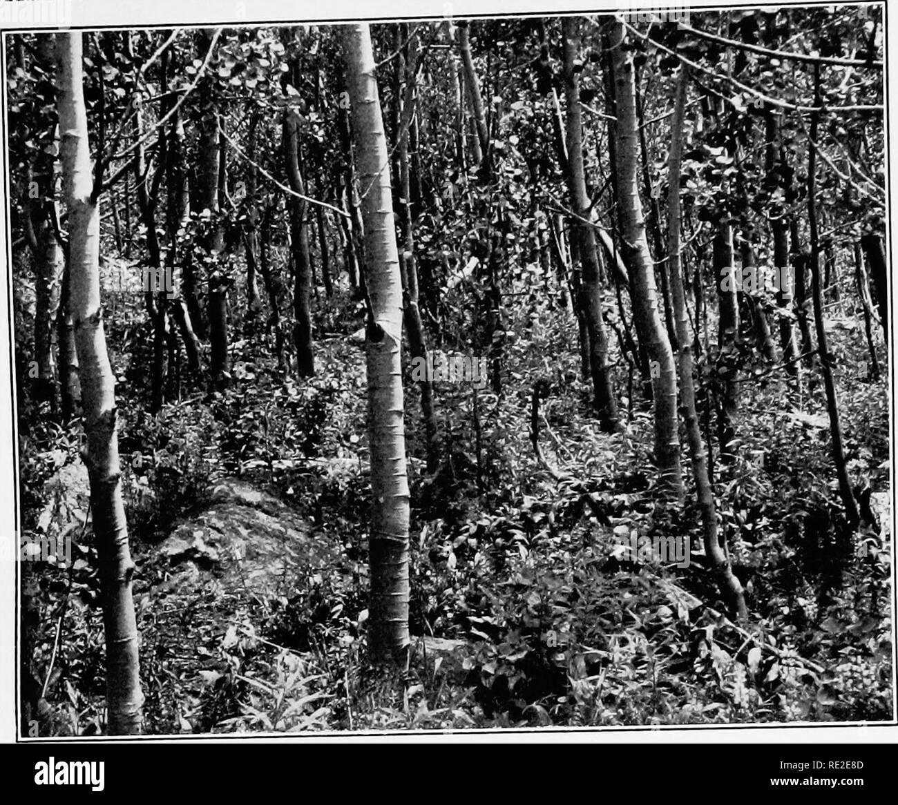 Edward clements hi-res stock photography and images - Alamy