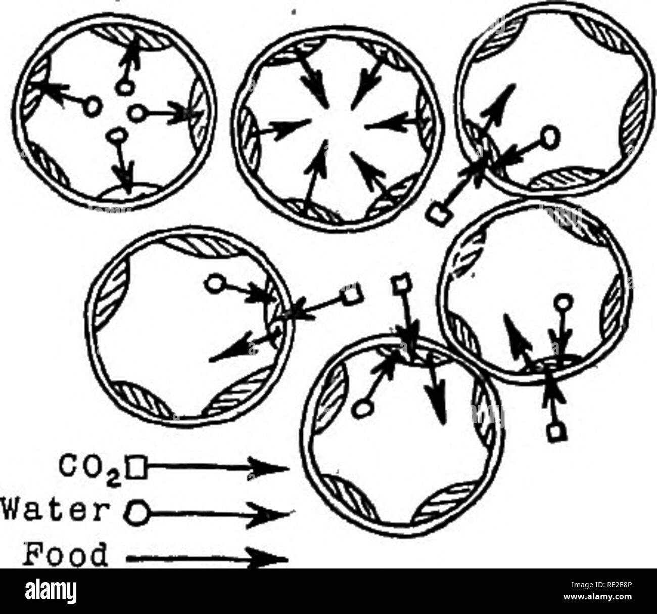 Micro diffusion hi-res stock photography and images - Alamy