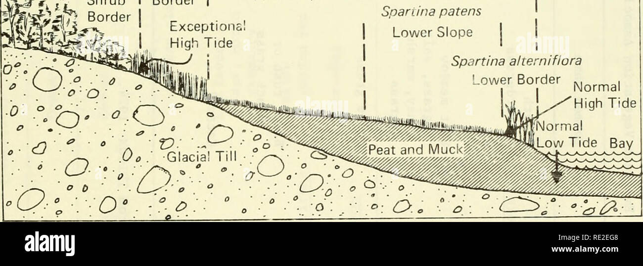 . An ecological characterization of Coastal Maine (north and east of ...