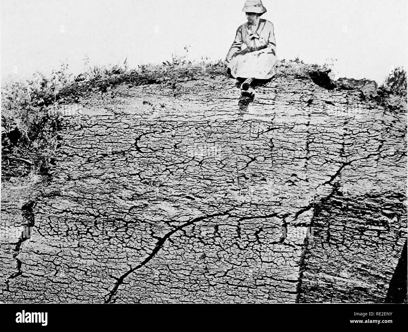 Peat beds Black and White Stock Photos & Images - Alamy