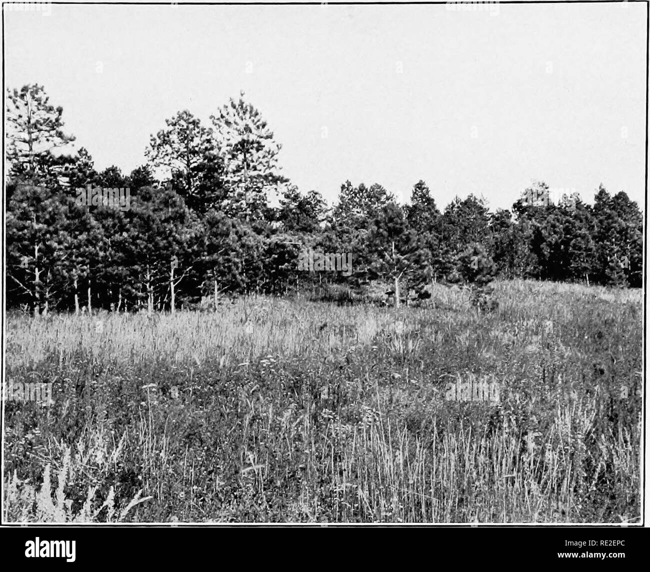 Frederic edward clements Black and White Stock Photos & Images - Alamy
