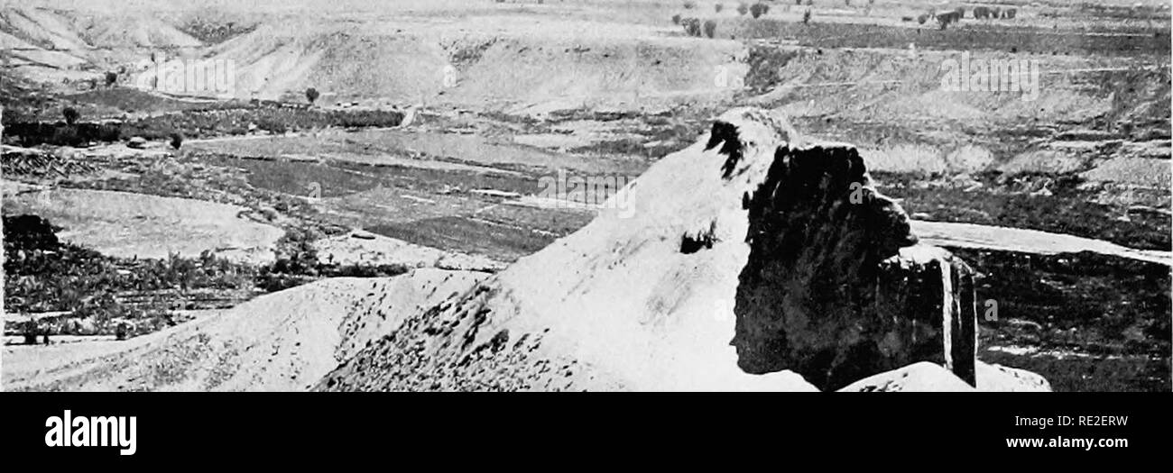 Frederic edward clements hi-res stock photography and images - Alamy