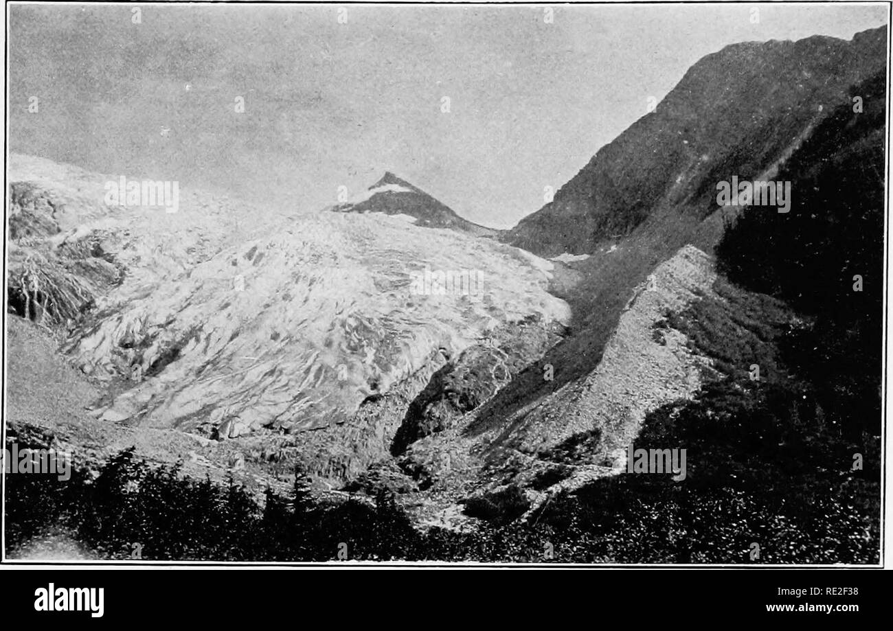 Frederic edward clements hi-res stock photography and images - Alamy