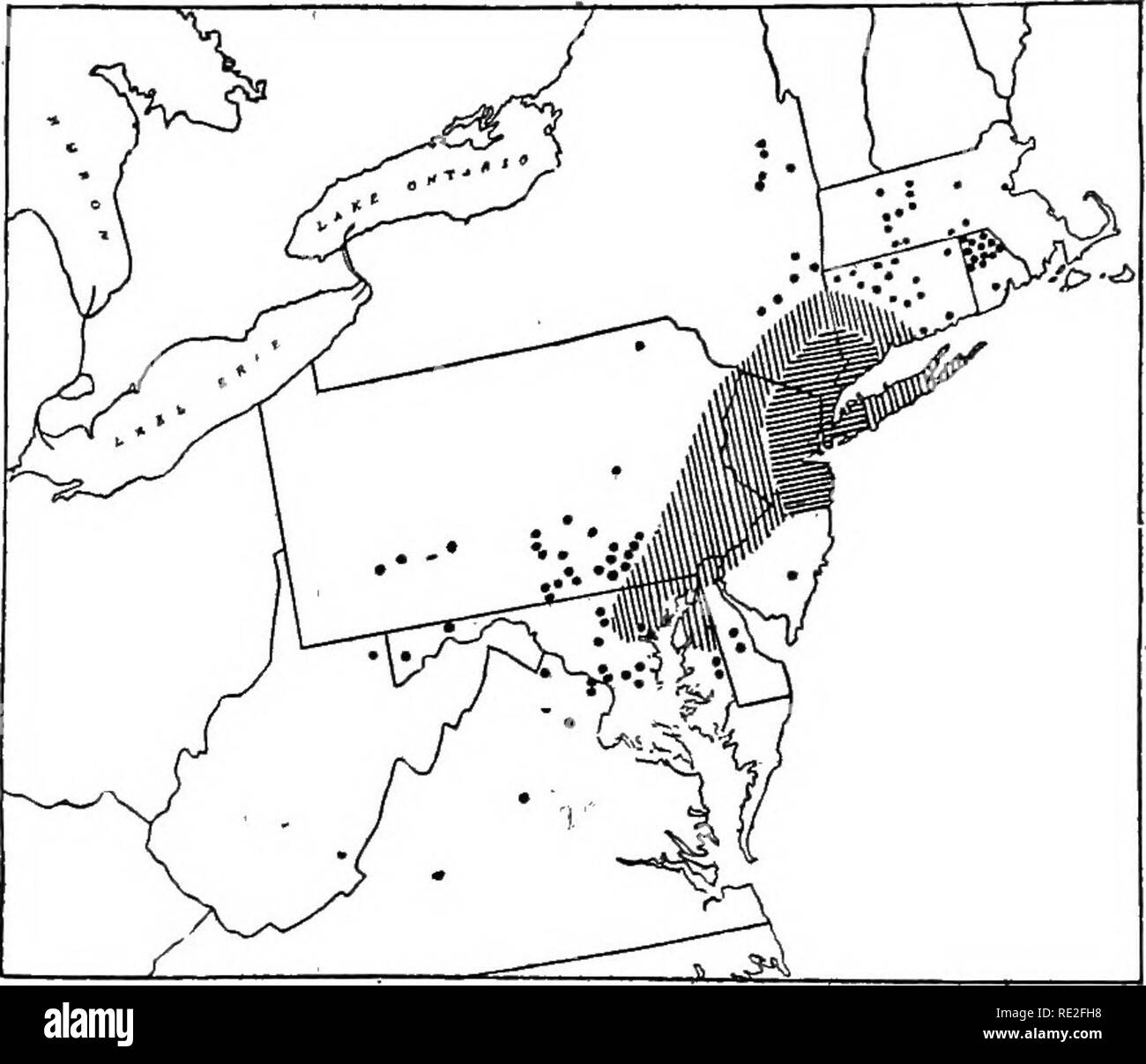 Sooty mold fungi Black and White Stock Photos & Images - Alamy