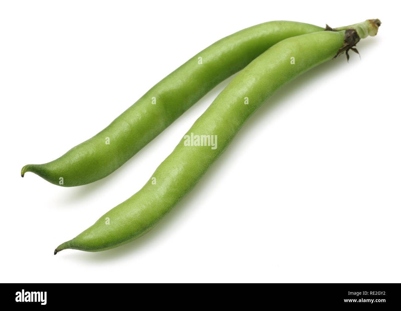 Fresh green broad beans isolated on white background Stock Photo - Alamy