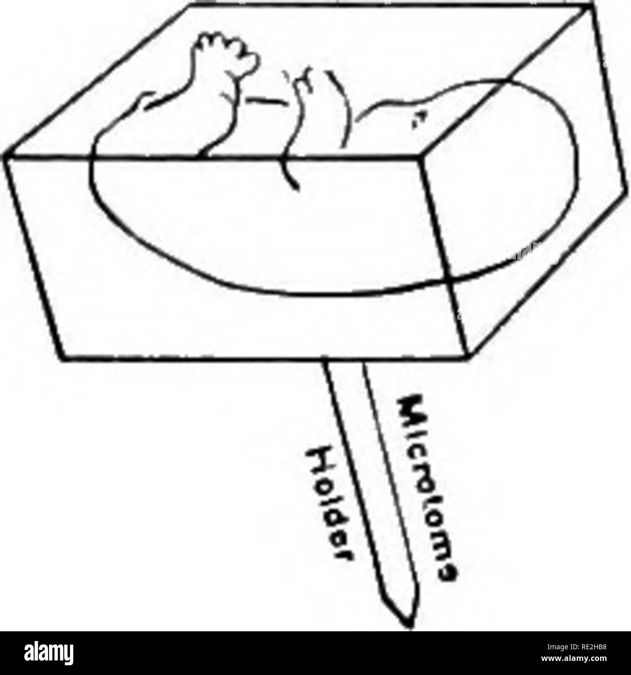 . The microscope; an introduction to microscopic methods and to ...