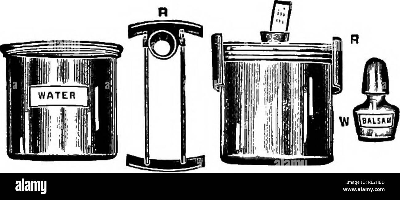 Staining rack hi-res stock photography and images - Alamy