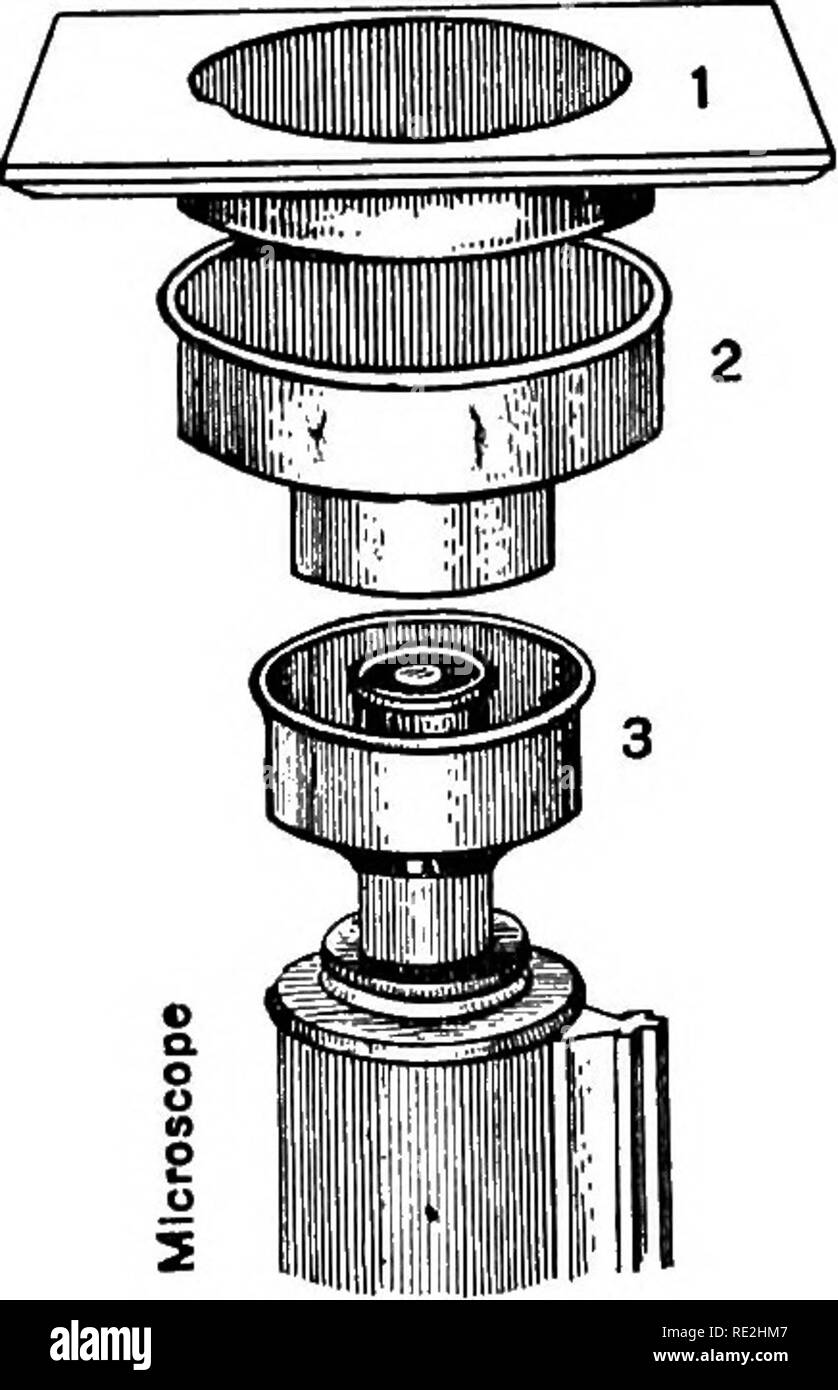 Light microscope image Black and White Stock Photos & Images - Alamy