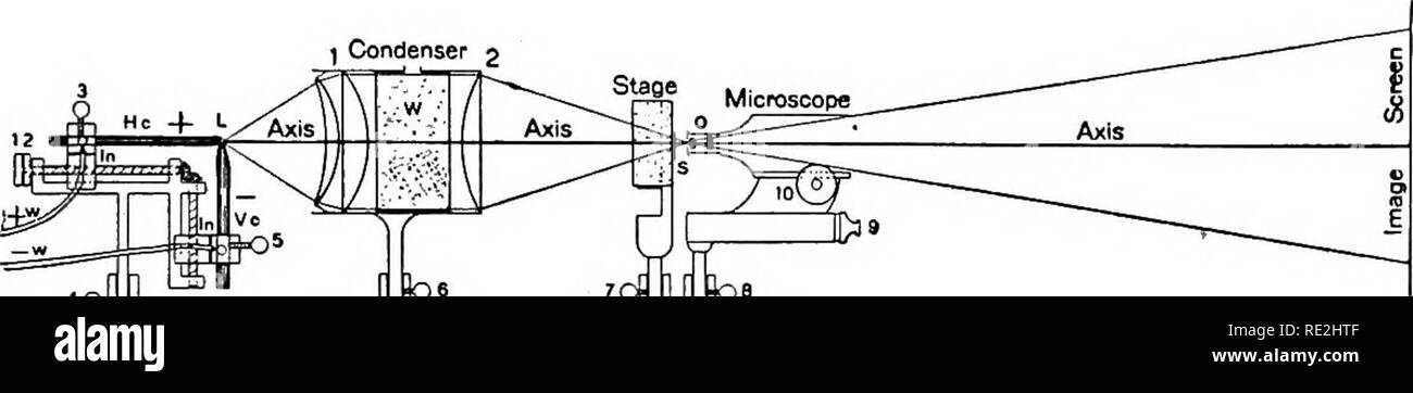 Microscope Objective Drawing