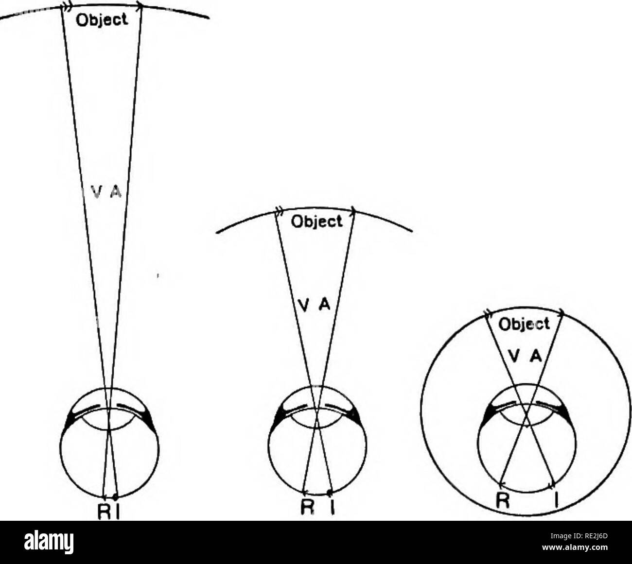 . The microscope; an introduction to microscopic methods and to ...