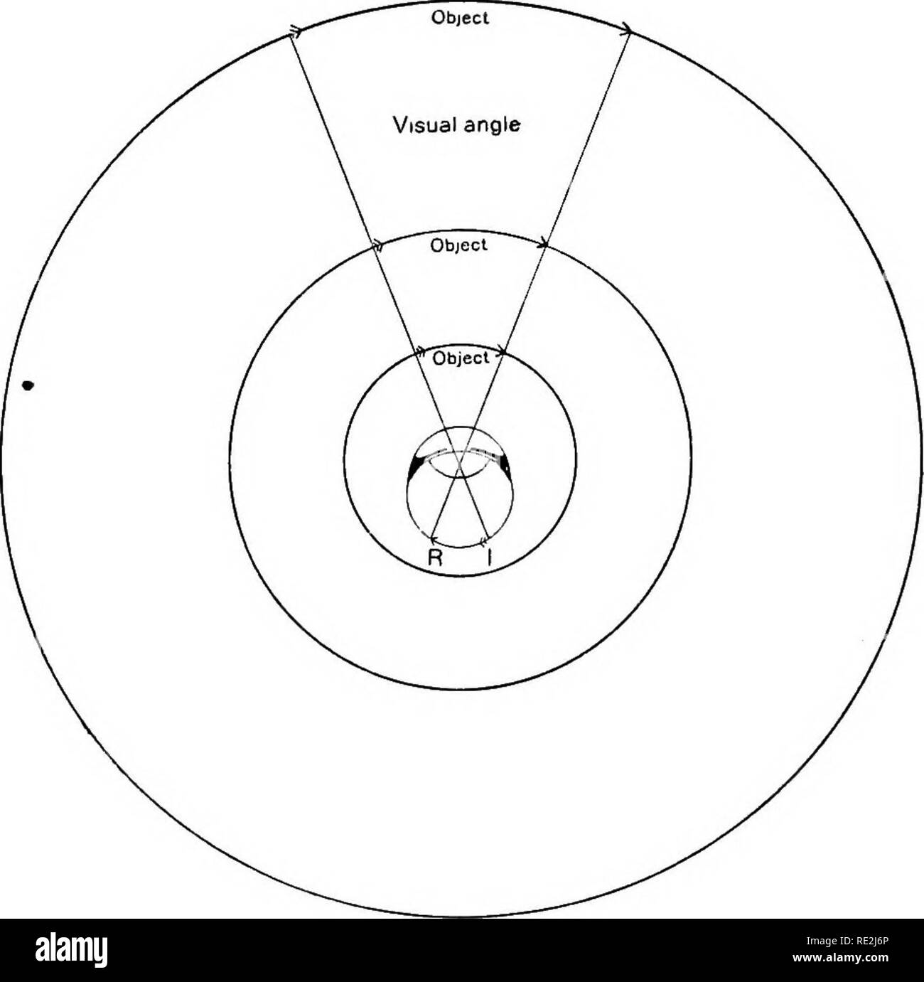 . The microscope; an introduction to microscopic methods and to ...