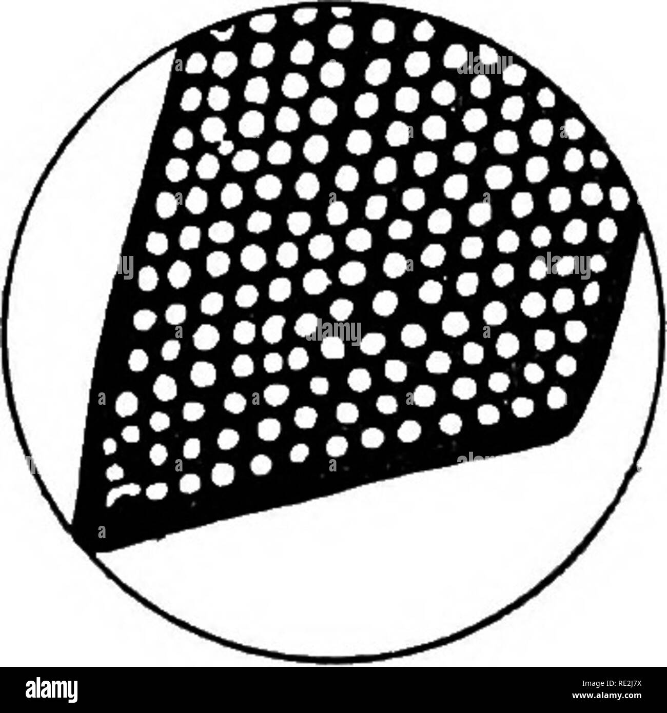 . The microscope; an introduction to microscopic methods and to ...